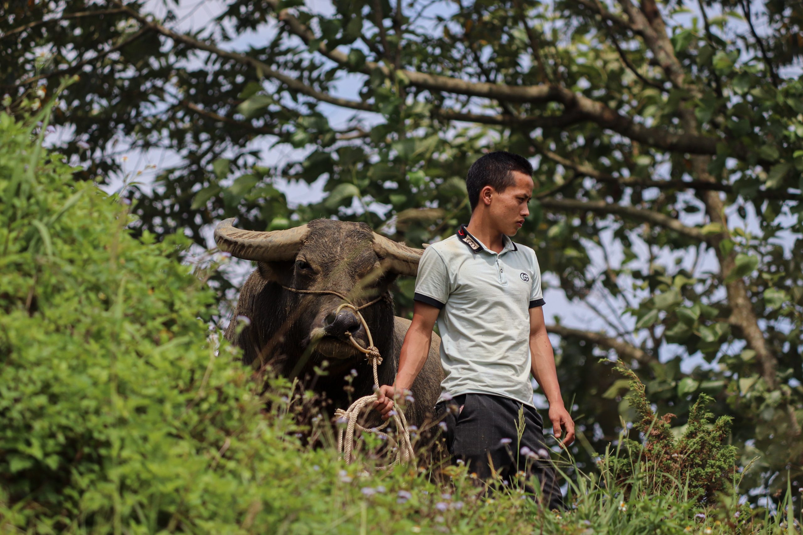 Animal Adaptations : Surviving and Thriving in Different Environments